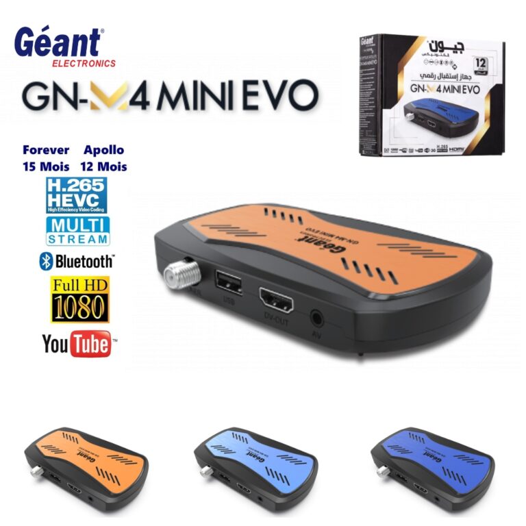 Géant Démodulateur GN-M4 Mini Evo (12 Mois IPTV, 18 Mois Serveur ...